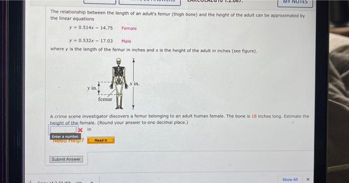 Solved The relationship between the length of an adult's | Chegg.com