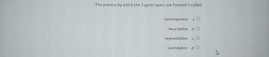 Solved :The process by which the 3 ﻿germ layers are formed | Chegg.com