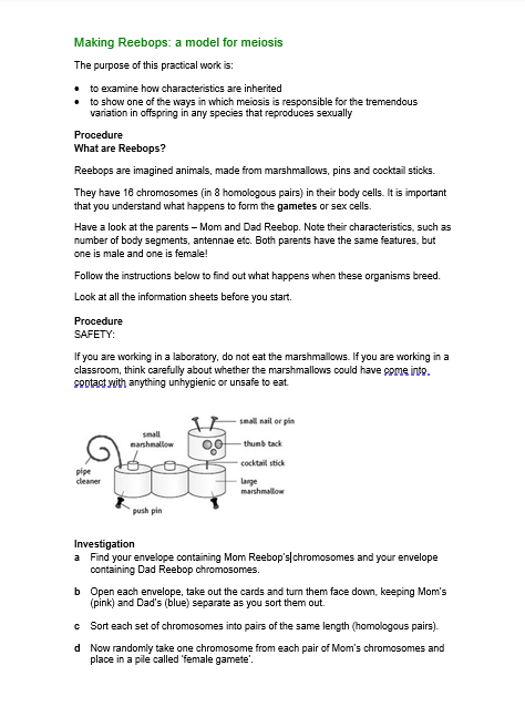 Solved Making Reebops: a model for meiosisThe purpose of | Chegg.com