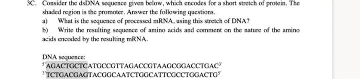 Solved 30. Consider the dsDNA sequence given below, which | Chegg.com