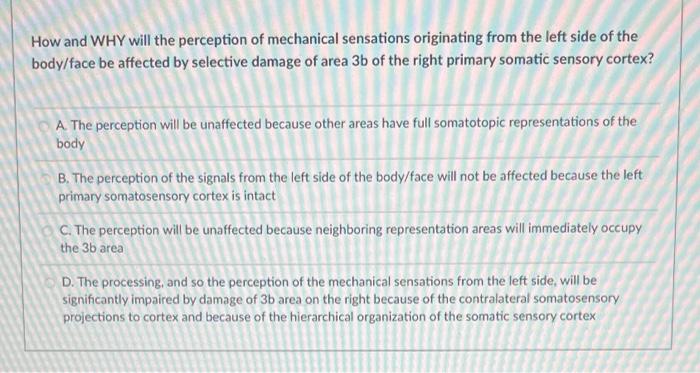 Solved How and WHY will the perception of mechanical | Chegg.com