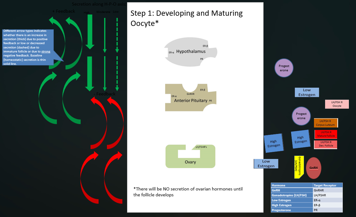 Solved I don’t know why but chegg doesn’t let me to upload | Chegg.com