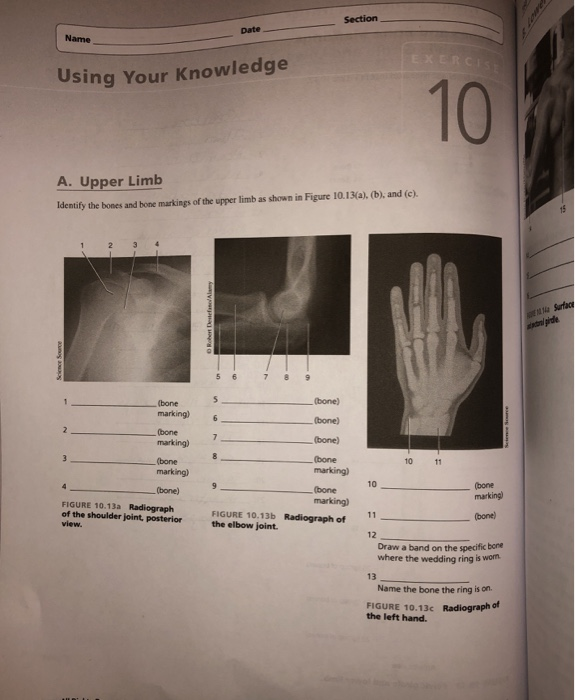 Solved Section Date Name EXERCIS Using Your Knowledge 10 A. | Chegg.com