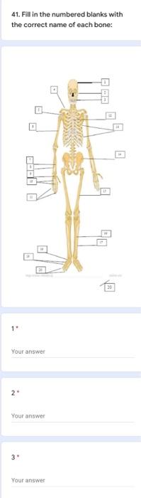 Solved 41. Fill in the numbered blanks with the correct name | Chegg.com