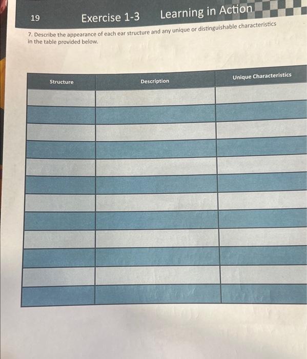 Solved Exercise 1-3 Learning in Action 7. Describe the | Chegg.com