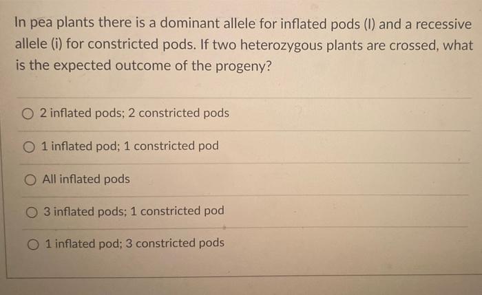 Solved In pea plants there is a dominant allele for inflated | Chegg.com
