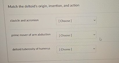 High Quality SOLUTION Match the deltoid's origin, insertion, and ...