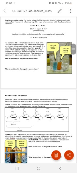 Solved 12:03 NO4 13% OL Biol 127 Lab.lecules_ACrv2 How the | Chegg.com
