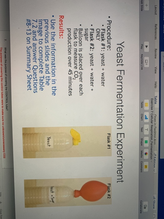 Solved YEAST FERMENTATION EXPERIMENT Flask #1 (no sugar) | Chegg.com