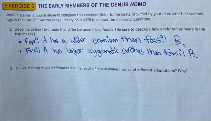 Solved EXERCISE 6 THE EARLY MEMBERS OF THE GENUS HOMO Work | Chegg.com Solved EXERCISE 6 THE EARLY MEMBERS OF THE GENUS HOMO Work | Chegg.com