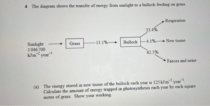 Solved 4 The diagram shows the transfer of energy from | Chegg.com