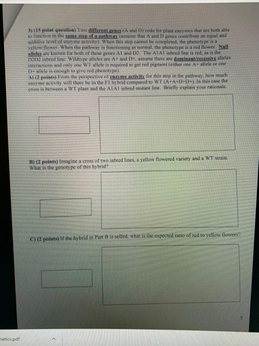 netics.pdf 3) (15 point questions Two different genes | Chegg.com