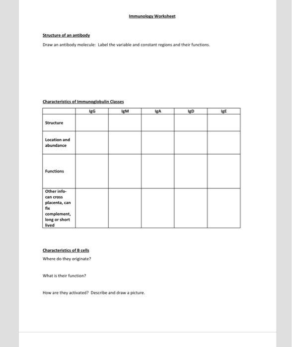 Solved Immunology Worksheet Structure of an antibody Draw an | Chegg.com