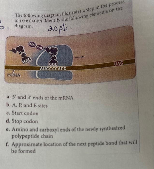 Solved The following diagram illustrates a step in the | Chegg.com