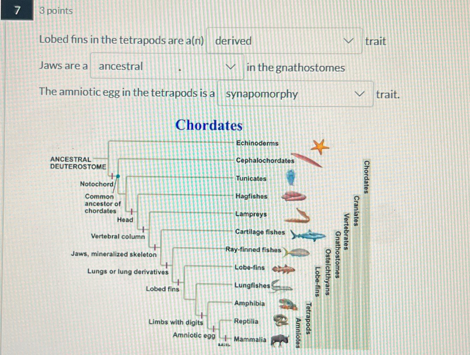 Solved 7,3 ﻿pointsLobed fins in the tetrapods are a(n) | Chegg.com