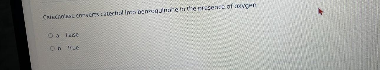 Solved Catecholase converts catechol into benzoquinone in | Chegg.com
