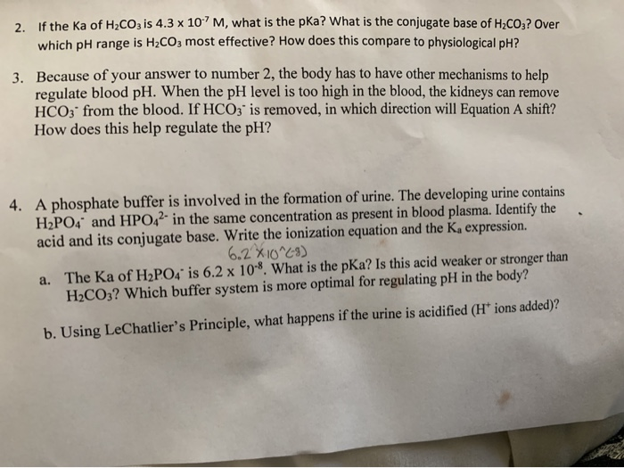 Solved 2. If the Ka of H2CO3 is 4.3 x 10' M, what is the | Chegg.com