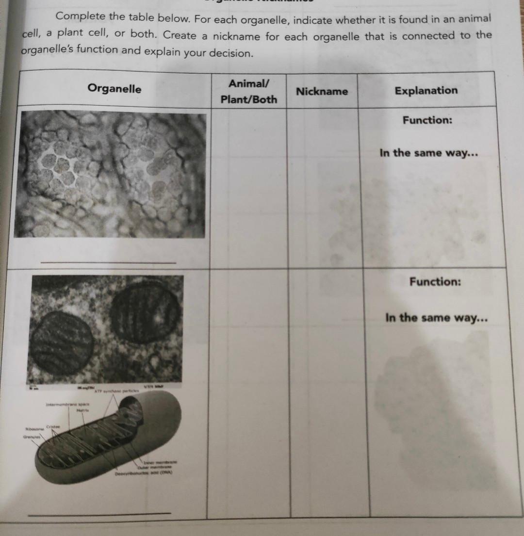 Solved Complete the table below. For each organelle, | Chegg.com