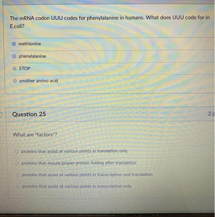 Solved The mRNA codon UUU codes for phenylalanine in humans. | Chegg.com