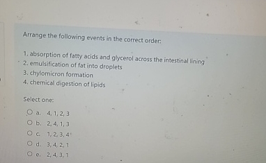 Solved Arrange the following events in the correct | Chegg.com