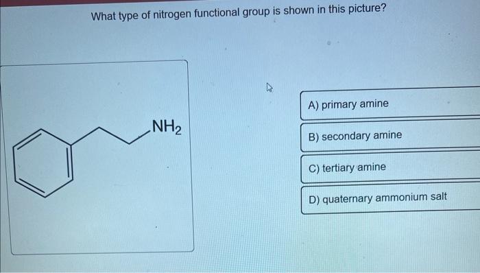 Solved What type of nitrogen functional group is shown in | Chegg.com