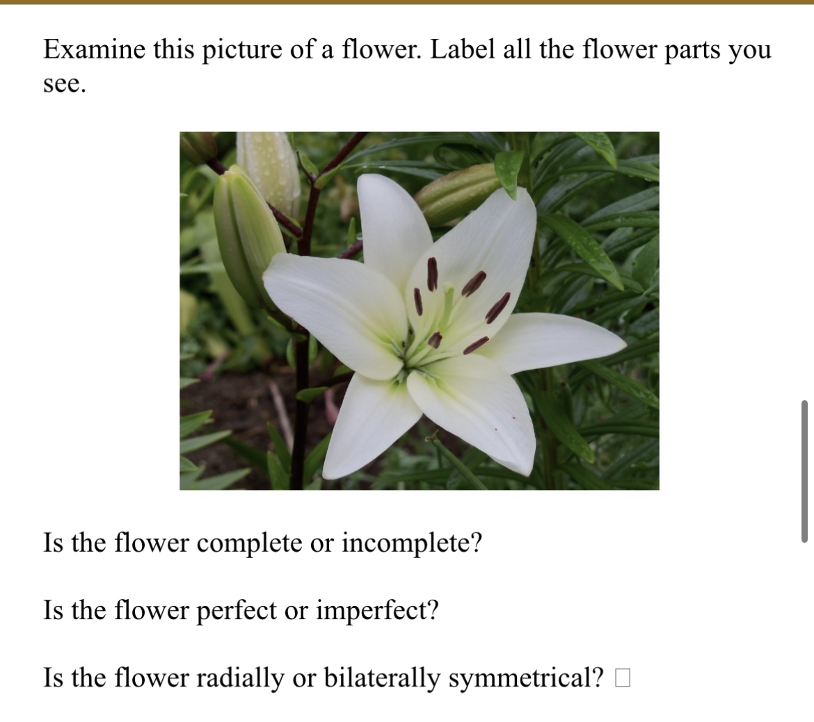Solved Is the flower complete or incomplete?Is the flower | Chegg.com