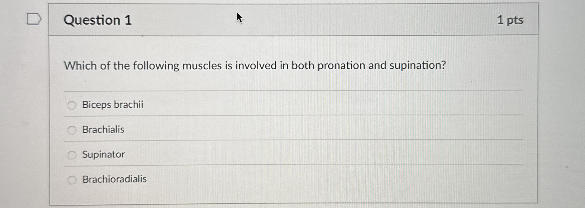 Solved Question 11 ﻿ptsWhich of the following muscles is | Chegg.com