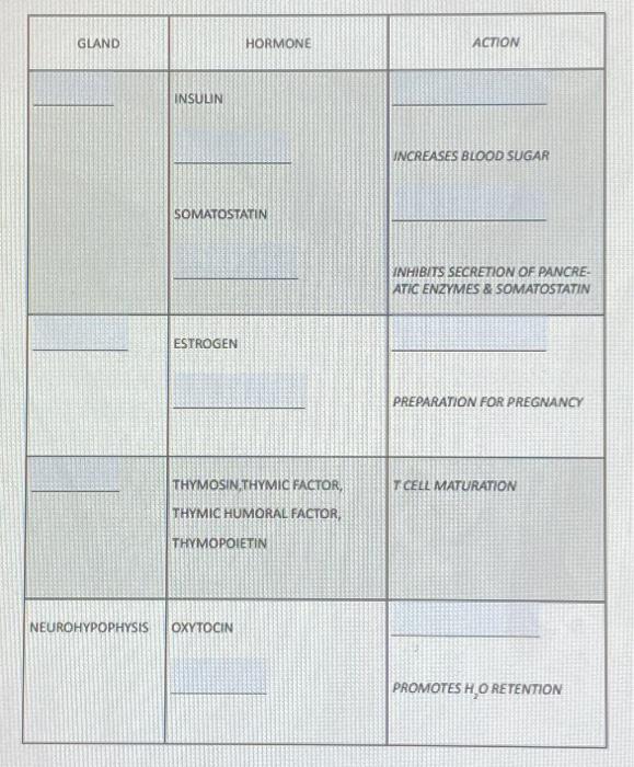 Solved Use your knowledge of the endocrine system to fill on | Chegg.com