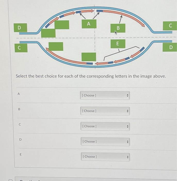 Solved Select the best choice for each of the corresponding | Chegg.com