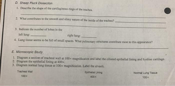 Solved D. Sheep Pluck Dissection 1. Describe the shape of | Chegg.com