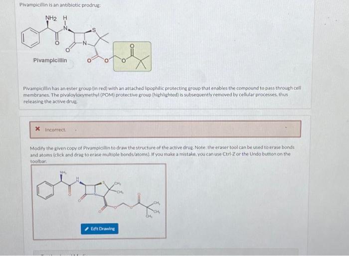 Solved Pivampicillin is an antibiotic prodrug: Pivampicillin | Chegg.com