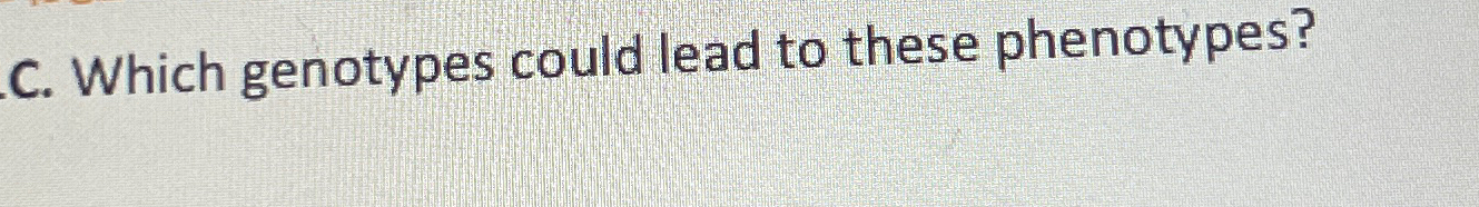Solved C. ﻿Which genotypes could lead to these phenotypes? | Chegg.com