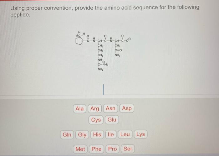 Solved Using proper convention, provide the amino acid | Chegg.com
