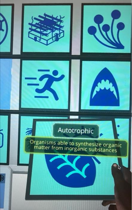 Solved BACK First common ancestor ? Eukaryotes ? Prokaryotes | Chegg.com