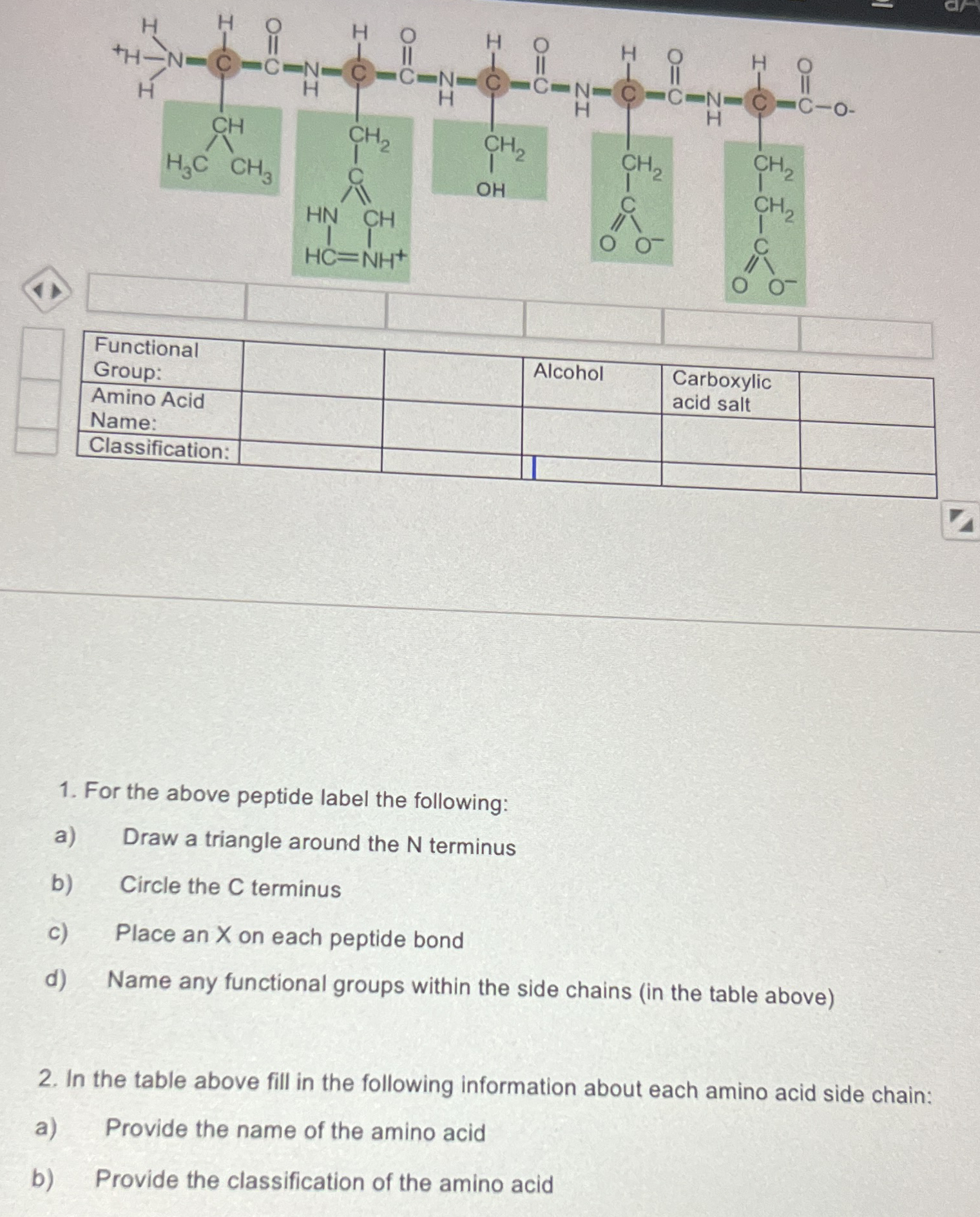 Solved For the above peptide label the following:a) ﻿Draw a | Chegg.com