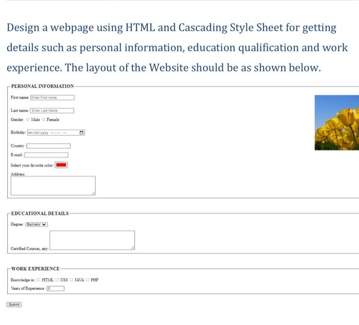 Solved Design A Webpage Using Html And Cascading Style Sheet 4029