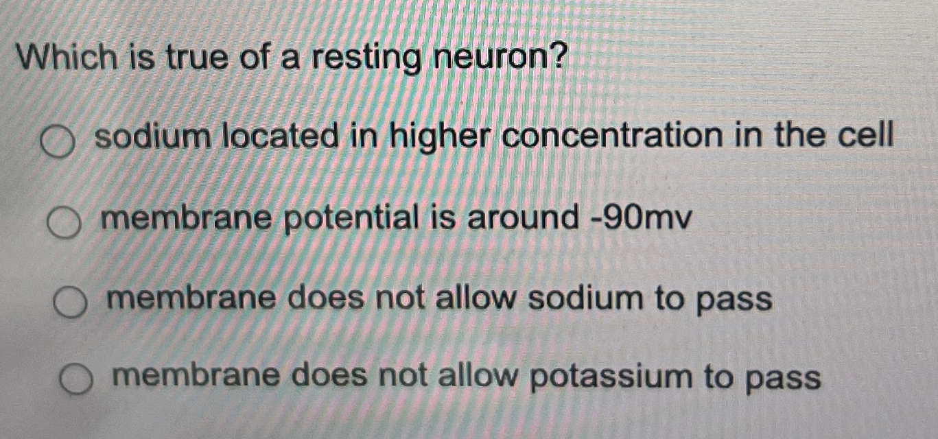 Solved Which is true of a resting neuron? ﻿sodium located | Chegg.com
