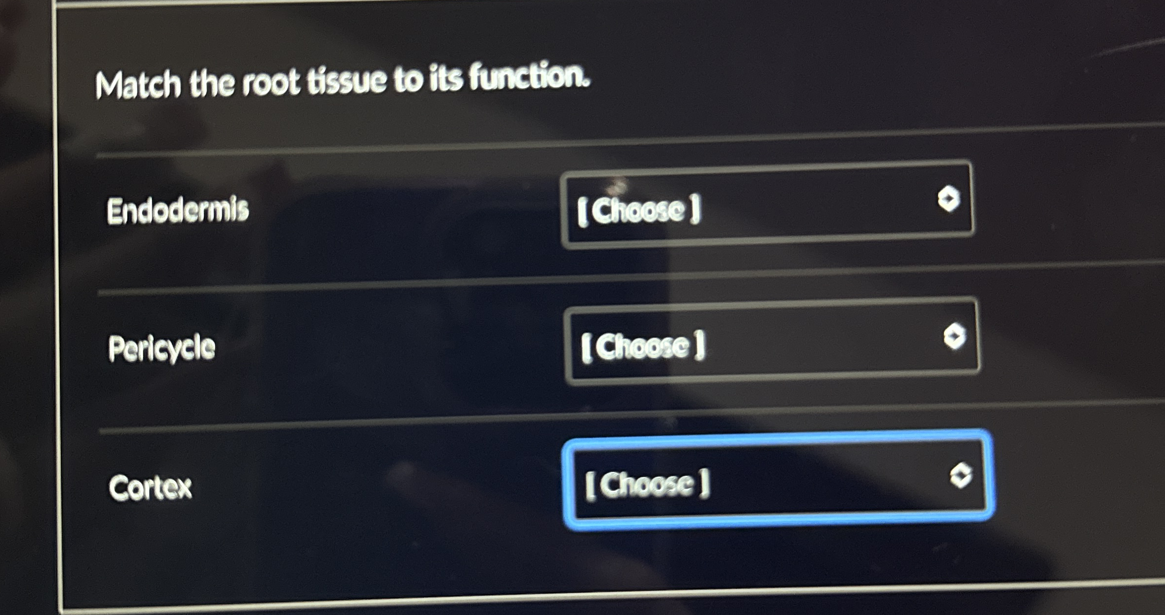 Solved Match the root tissue to its | Chegg.com