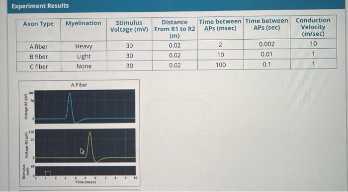 Solved Reset PEx The Action Potential: Conduction Velocity | Chegg.com