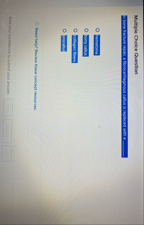 Solved Multiple Cholce QuestionIn bone fracture repair, a | Chegg.com