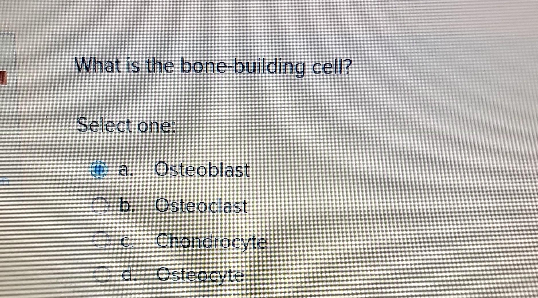 Solved What is the bone-building cell? Select one: a. | Chegg.com
