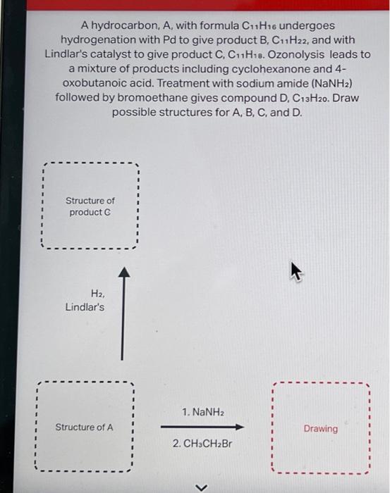 Solved A hydrocarbon, A, with formula C11H16 undergoes | Chegg.com