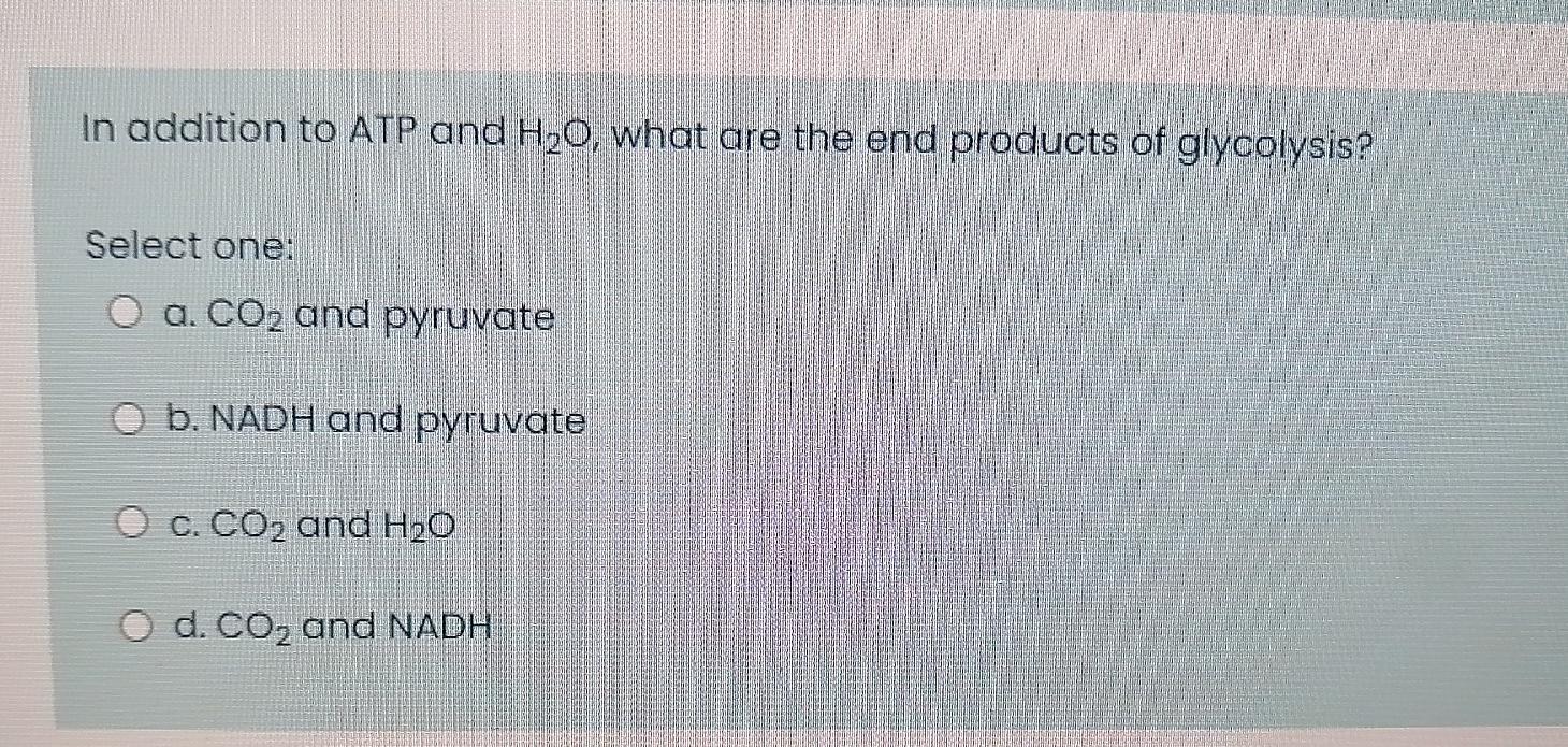 Solved In addition to ATP and H20, what are the end products | Chegg.com