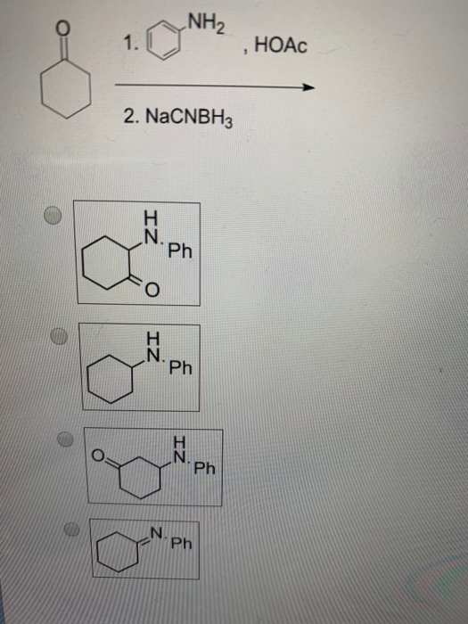Solved -NH₂ , НОАс 2. NaCNBH3 ZI ÖZI Non | Chegg.com
