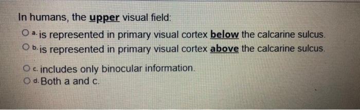 Solved Recognition of individual objects: O a. occurs in V1. | Chegg.com
