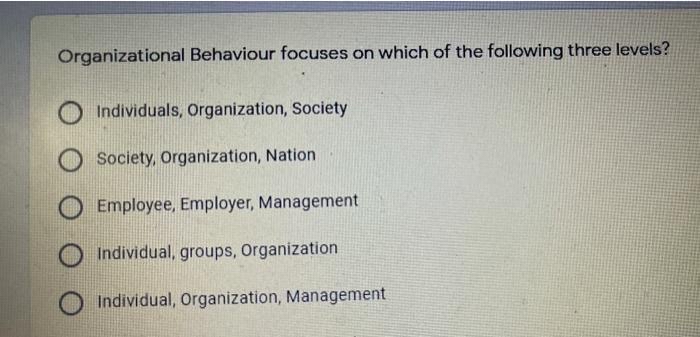 Solved Organizational Behaviour focuses on which of the | Chegg.com