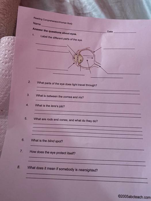 Solved Reading Comprehension Human Body Name Answer the | Chegg.com