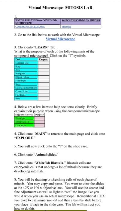 Solved Virtual Microscope- MITOSIS LAB 2. Go to the link | Chegg.com