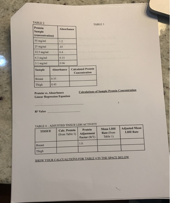 65 TABLE 2 TABLE Protein Absorbance Sample | Chegg.com
