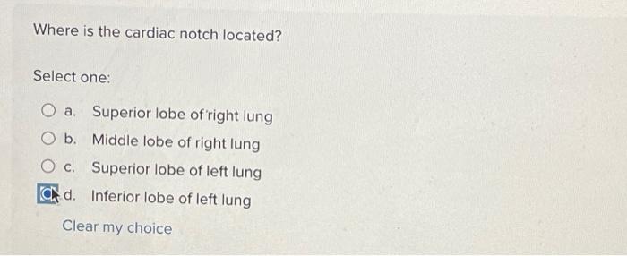 Solved Where is the cardiac notch located? Select one: a. | Chegg.com